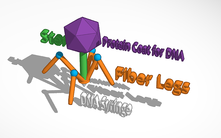 3D design Simple Bacteriophage - Tinkercad