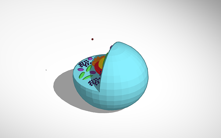 3D design ANIMAL CELL - Tinkercad