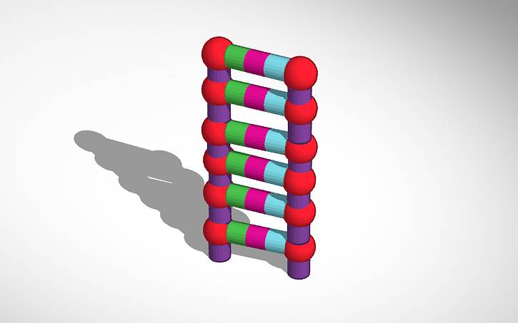 3D design dna | Tinkercad
