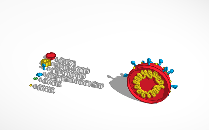 3D design Covid-19 | Tinkercad