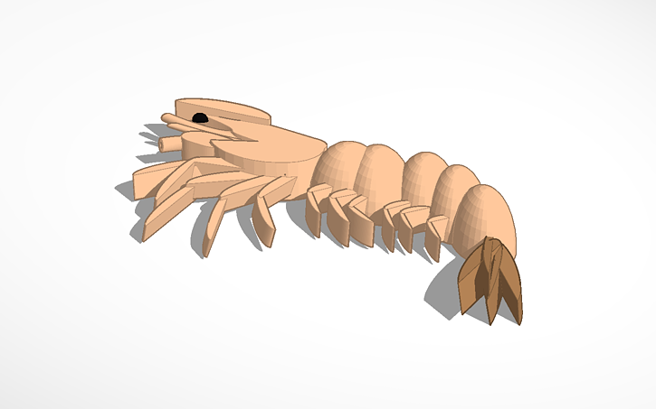 3D design PENAEID SHRIMP - Tinkercad
