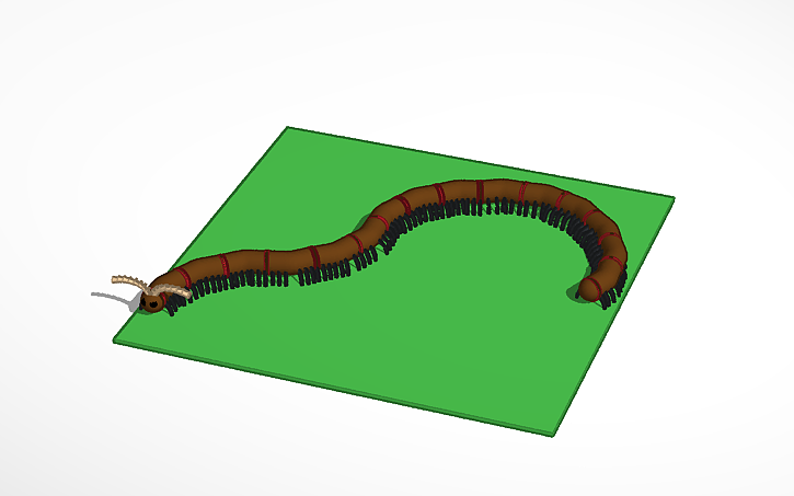 3D design LO#6: Millipede | Tinkercad