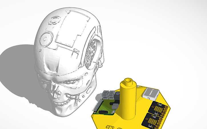 3D design Terminator T-800-Skull hollow - Tinkercad
