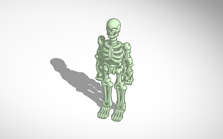 3D design SKELETON By Siddharth Goyal VII B | Tinkercad