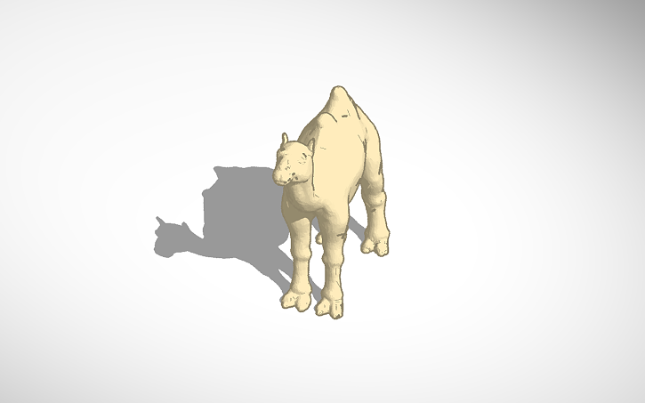 3D design Camel - Tinkercad