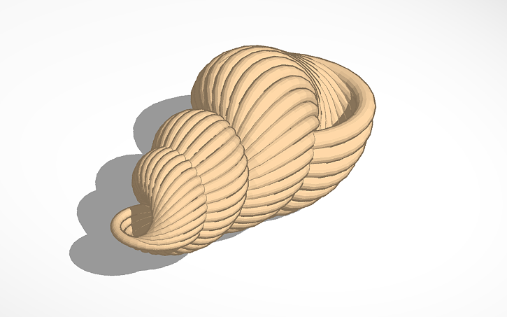 3D design Williams.Abby.shell.Blick | Tinkercad