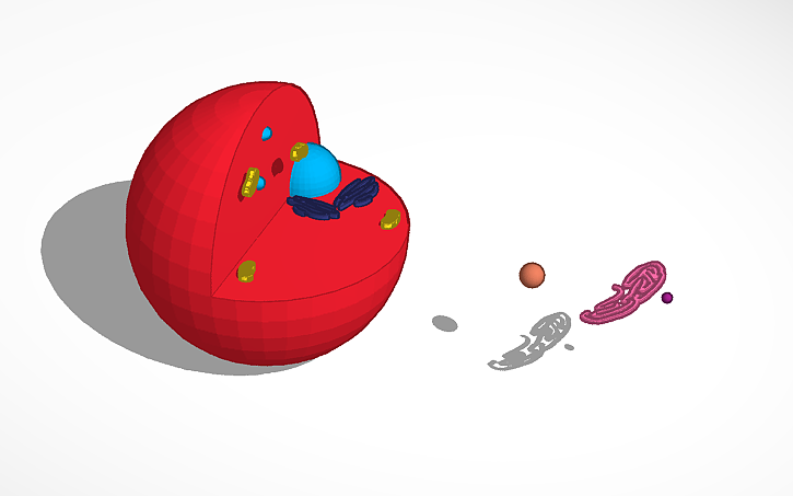 3D design red cells that are blood | Tinkercad