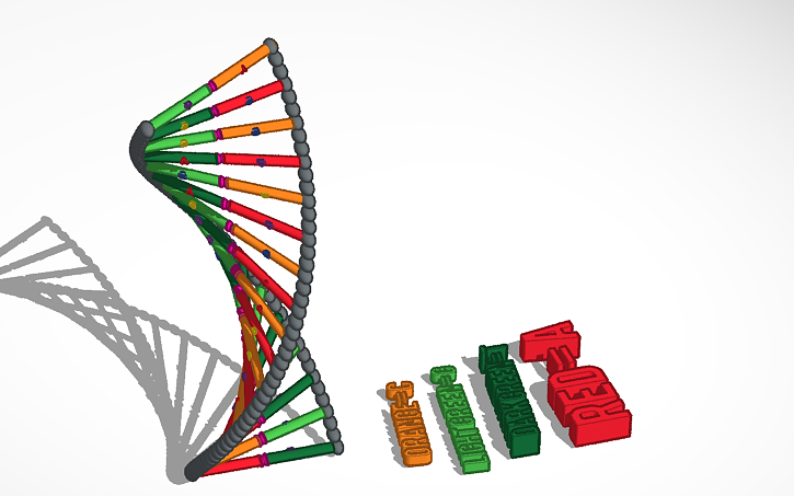 3D design DNA Stranddd - Tinkercad