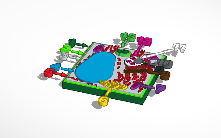 3D design Bio Plant Cell - Tinkercad