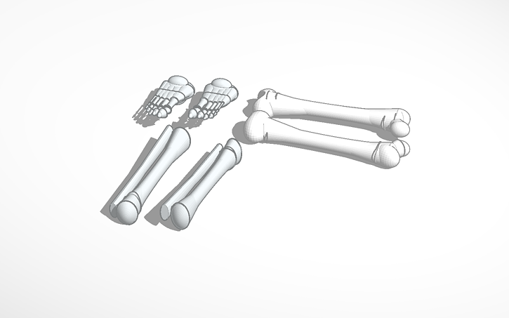 3D design Codys Combined Bones - Tinkercad