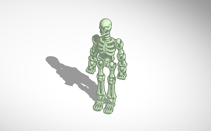3D design Human skeleton - Tinkercad