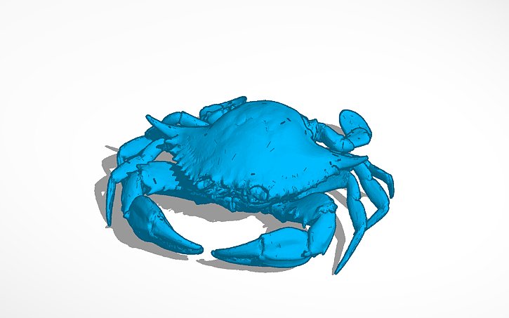 3D design Blue Crab. - Tinkercad