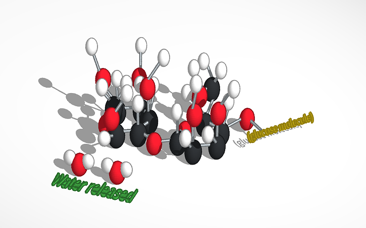 3D design P3 Jimenez Cellulose polymer - Tinkercad