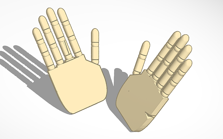3D design DOLL HANDS - Tinkercad