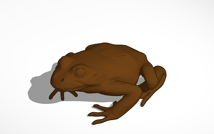3D design Frog | Tinkercad
