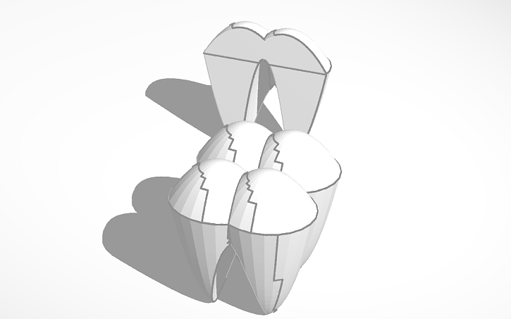 3D design tooth | Tinkercad