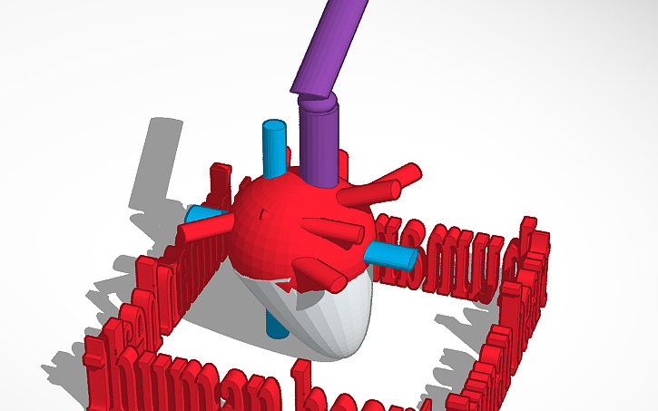 3D design human heart - Tinkercad
