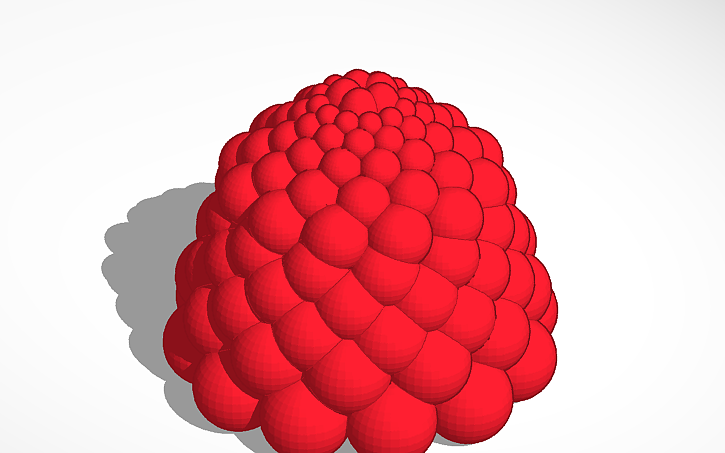 3D design raspberry | Tinkercad