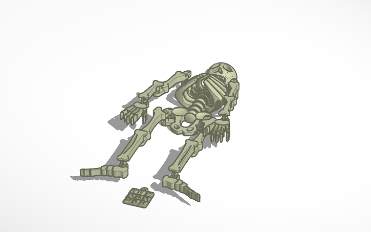 3D design Skeleton 3D | Tinkercad