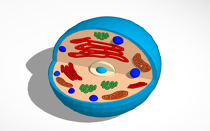 3D design Célula 3d - Nathalia Mendez - Tinkercad