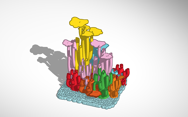 3D design Kayla Coral Reef Project - Tinkercad