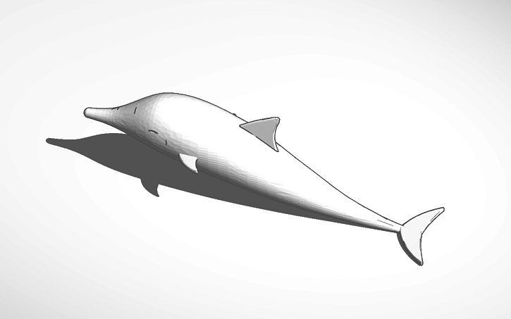 3D design Dolphin - Tinkercad