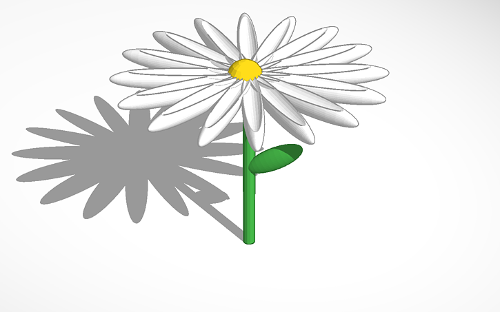 3D design White daisy - Tinkercad
