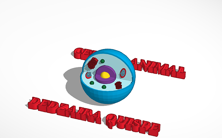 3D design CELULA ANIMAL DE ANNETH - Tinkercad
