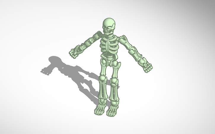 3D design skeleton | Tinkercad