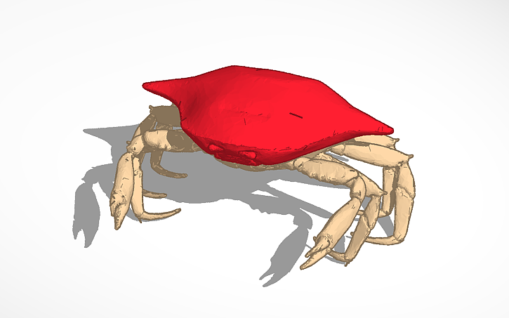 3D design crab - Tinkercad