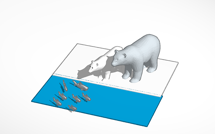 3D design Polar bears | Tinkercad