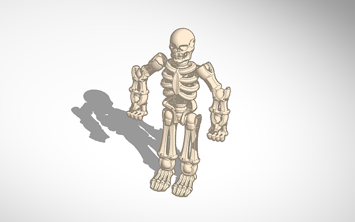 3D design Skeleton - Tinkercad