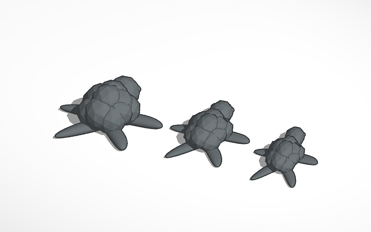 3d Design Save The Sea Turtles Ecosystem Project Tinkercad