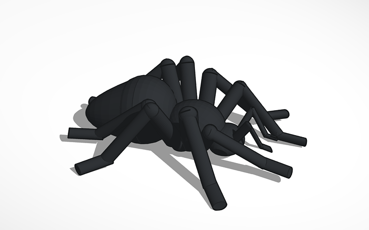 3D design spider | Tinkercad