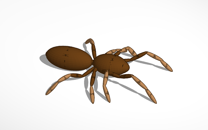 3D design Spider - Tinkercad