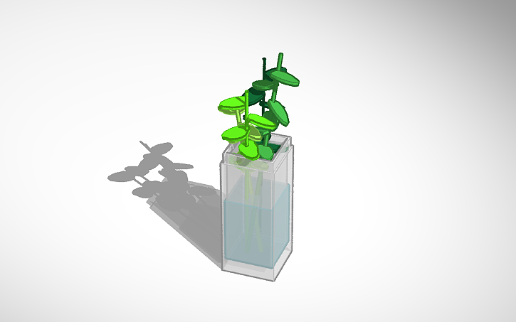 3D design Plant - Tinkercad