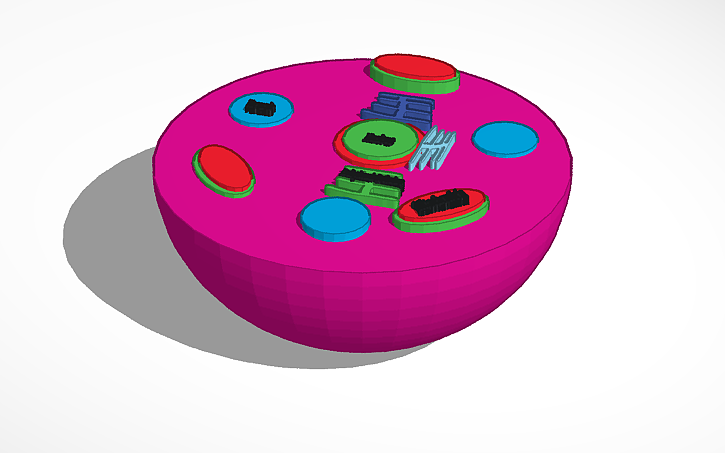 3D design Human Cell - Tinkercad