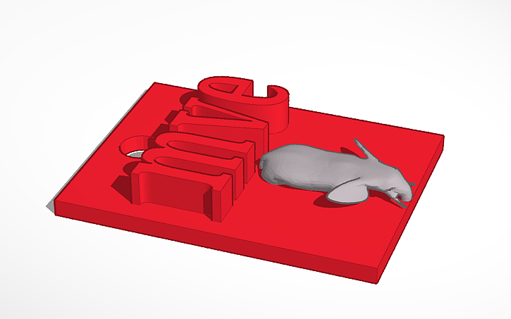 3D design MVE Connor 2022 5th | Tinkercad