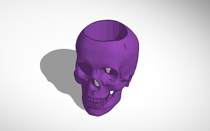 3D design skull - Tinkercad