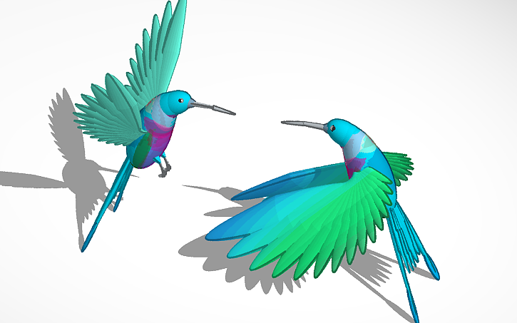 3D design Hummingbirds - Tinkercad