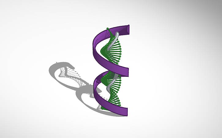 3D design DNA | Tinkercad