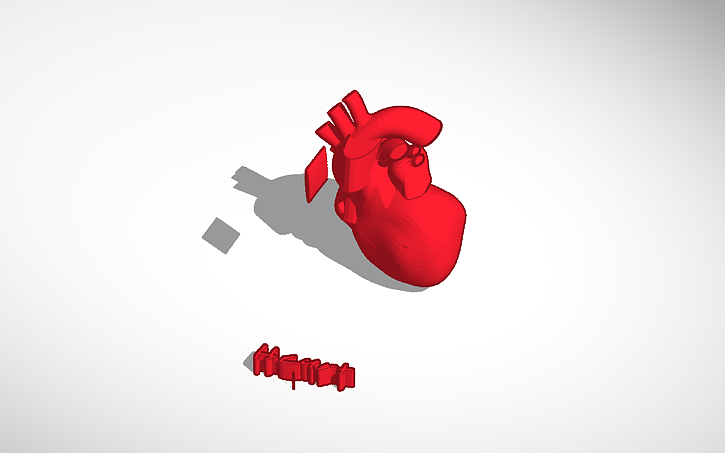 3D design Human Heart - Tinkercad