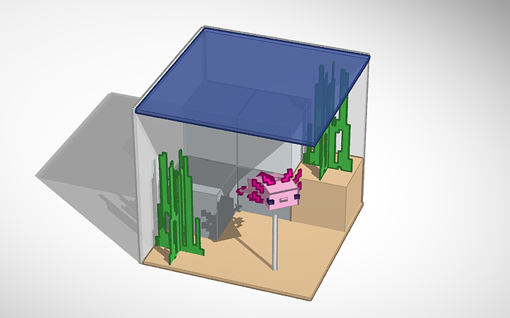 3D design minecraft axolotl diorama | Tinkercad