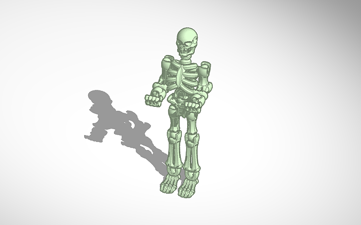 3D design Skeleton human body | Tinkercad