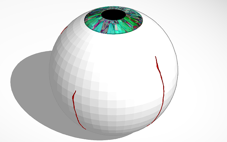 3D design Eyeball - Tinkercad