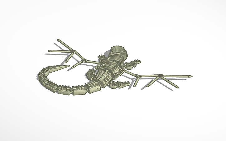3D design Red-Eyed Crocodile Skink Dragon - Tinkercad