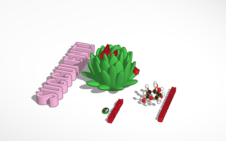 3D design Succulent - Tinkercad