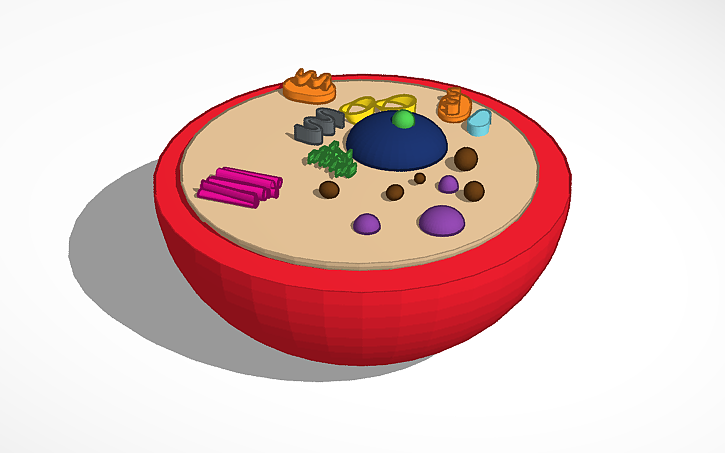 3D design Patrick Animal Cell | Tinkercad