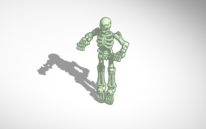 3D design Skeleton | Tinkercad