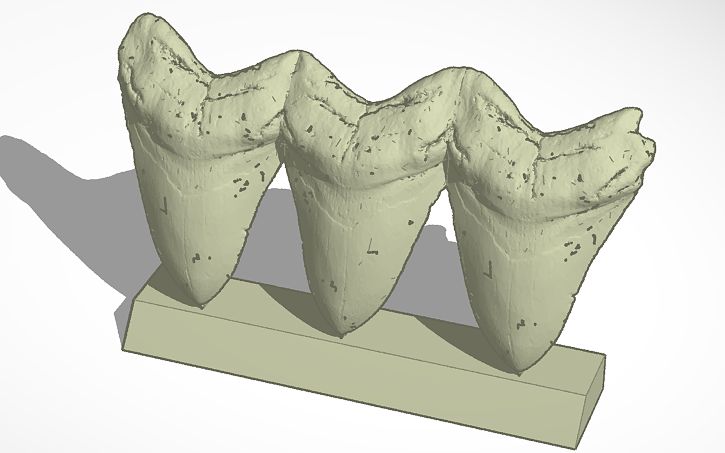 3D design Dientes Tiburon - Tinkercad